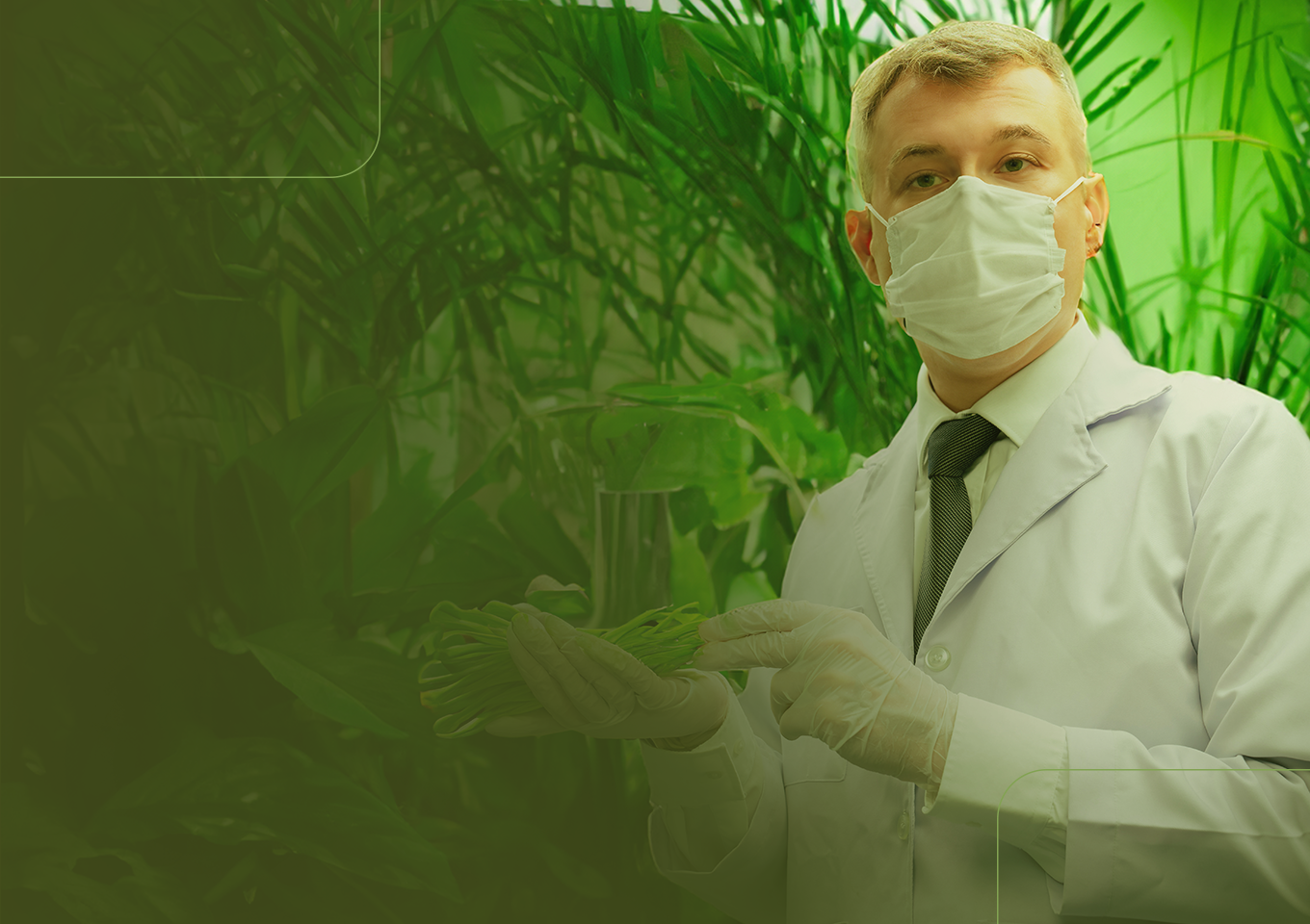 HealthFare Official Website